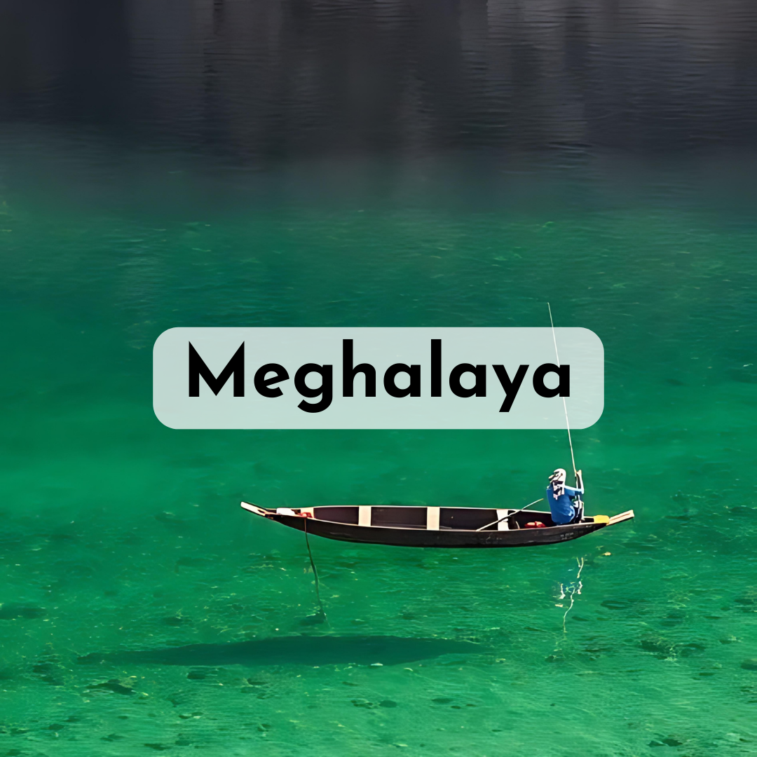 Home Page [ashneeeet.github.io]